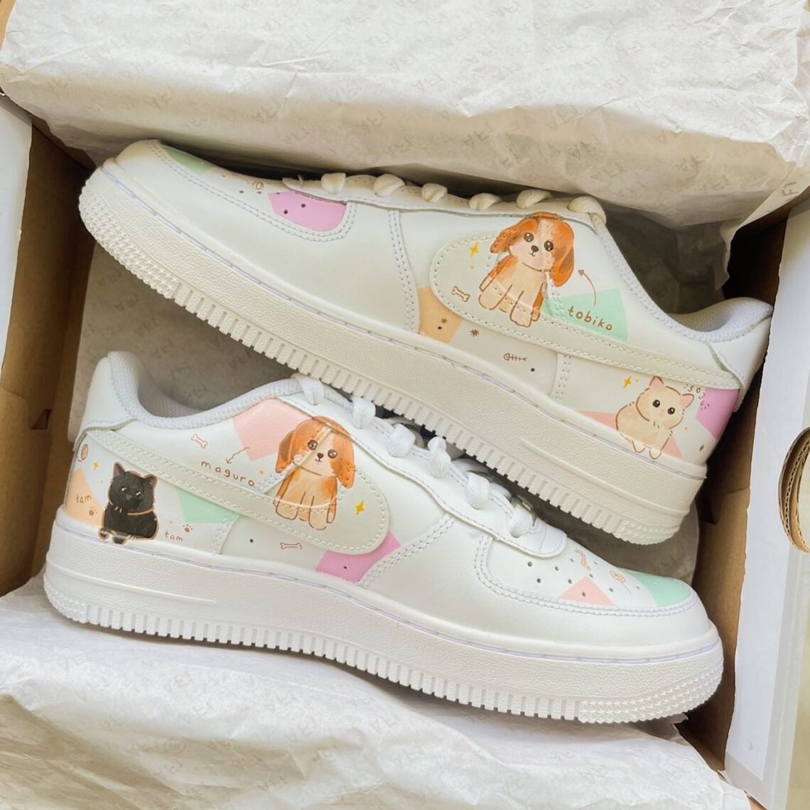 Dog and Cat Air Force 1 Custom – Daniel Customs